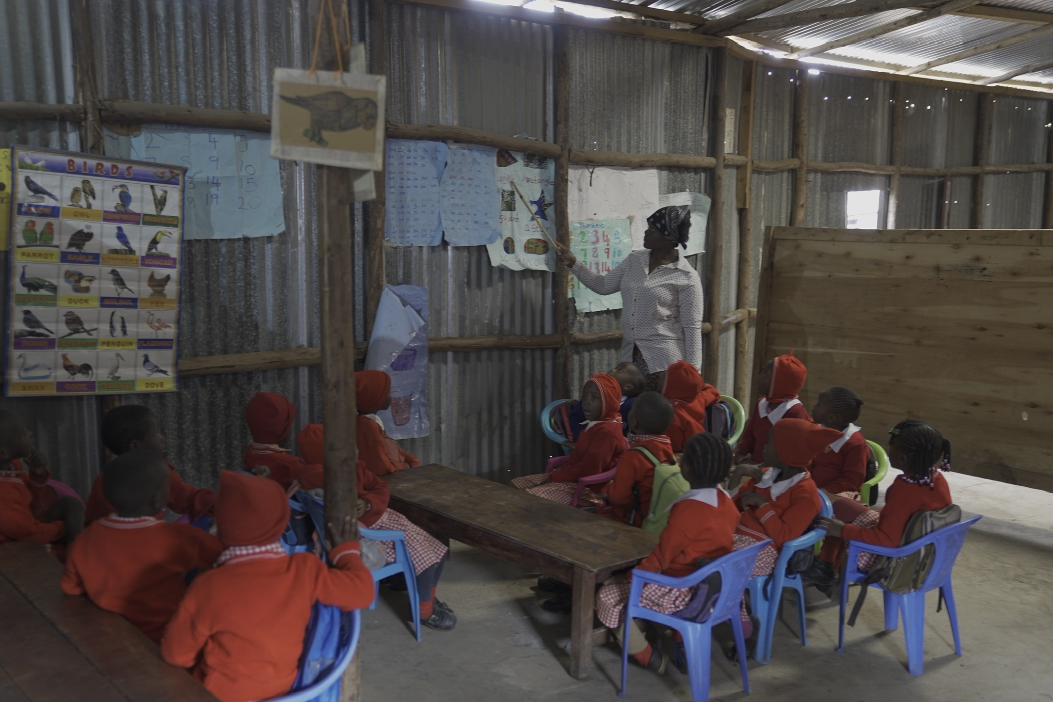 Smart Brains Foundation – Feed & Educate